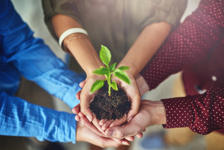 Open now: Public consultation to strengthen FSC standards and continue ...