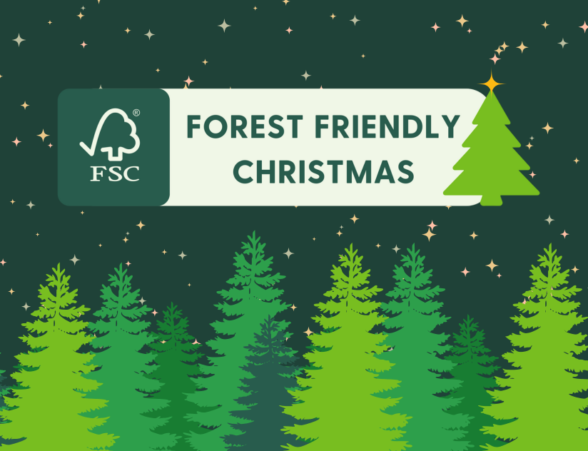 A Forest-Friendly Christmas: Celebrate Sustainable Forestry this ...