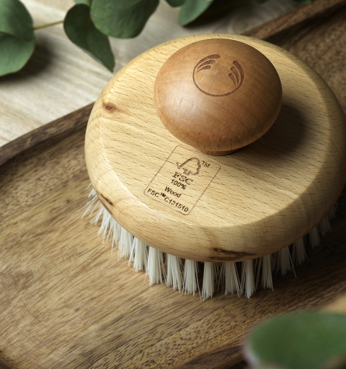 Rollout of the new FSC trademark standard: Guidance and support for ...