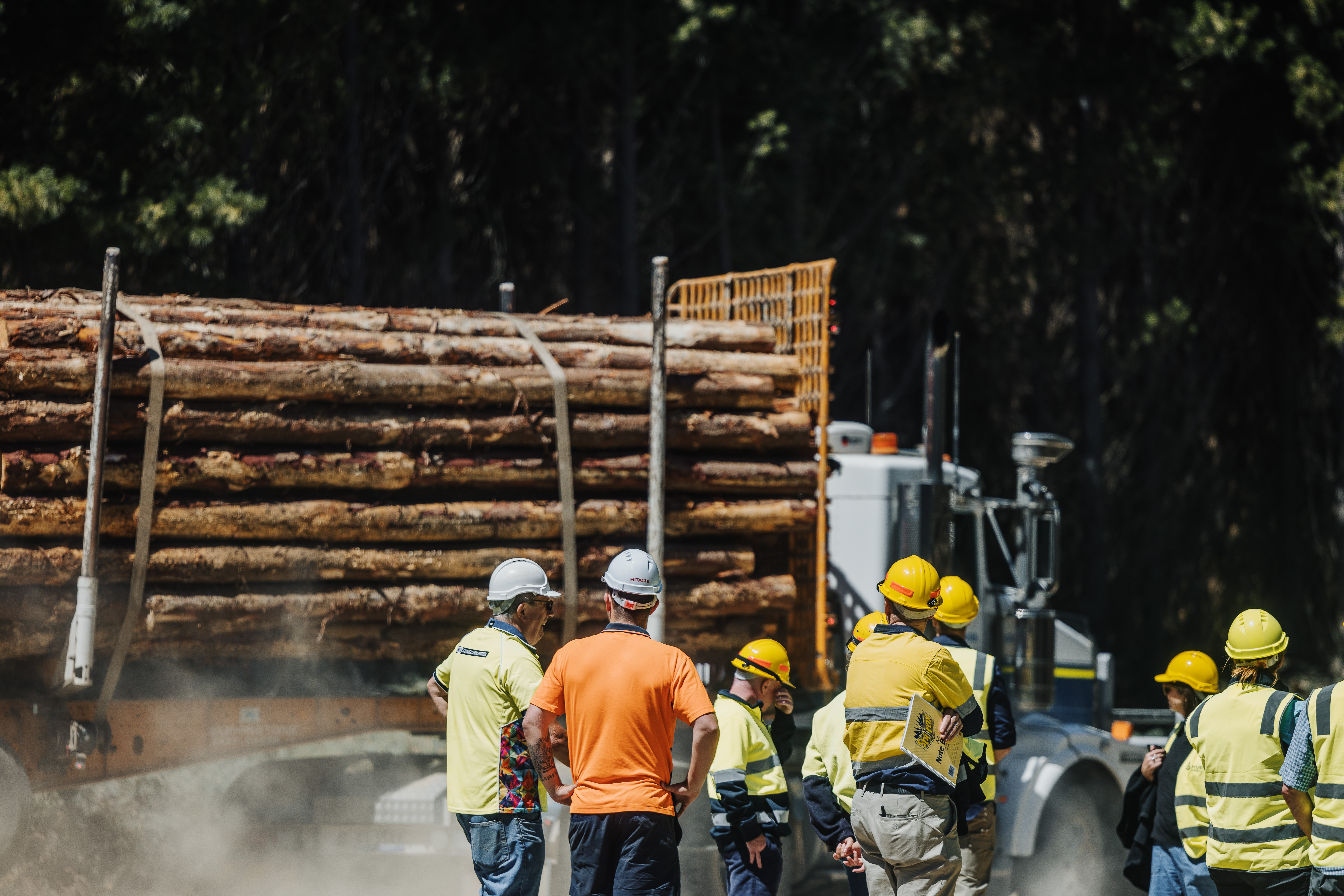 Consultation Open: Revision of FSC’s Chain of Custody standards ...