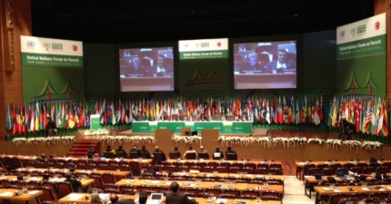 FSC submits proposal for UN Sustainable Development Goal | Forest ...