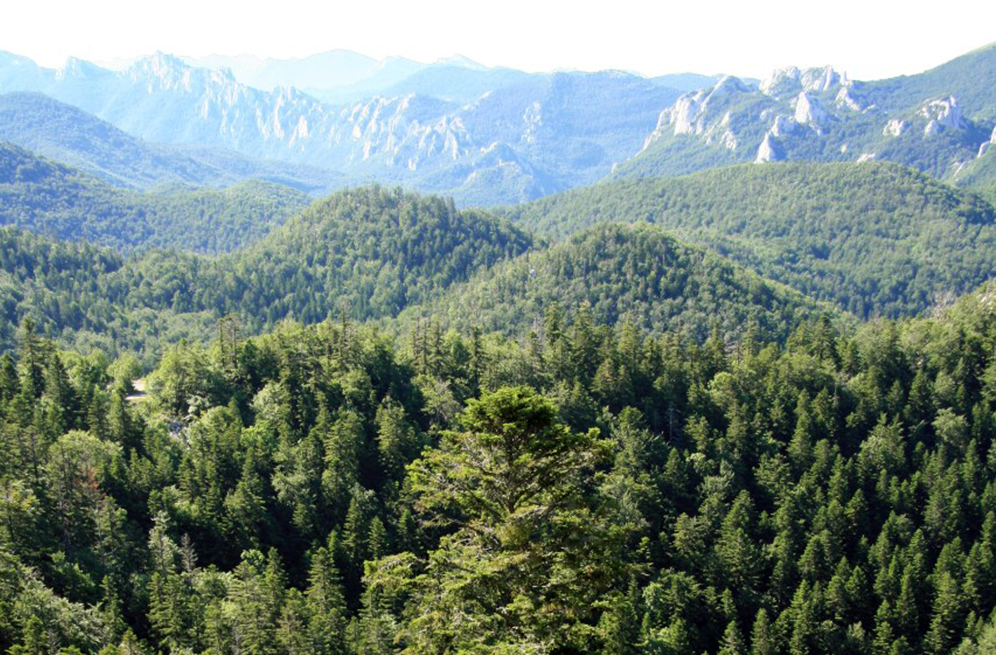 18/04/13 Annual Audit 2013 Hancock Victorian Plantations | Forest ...