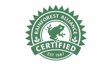 Review of Rainforest Alliances FSC Australia Interim Standard | Forest ...