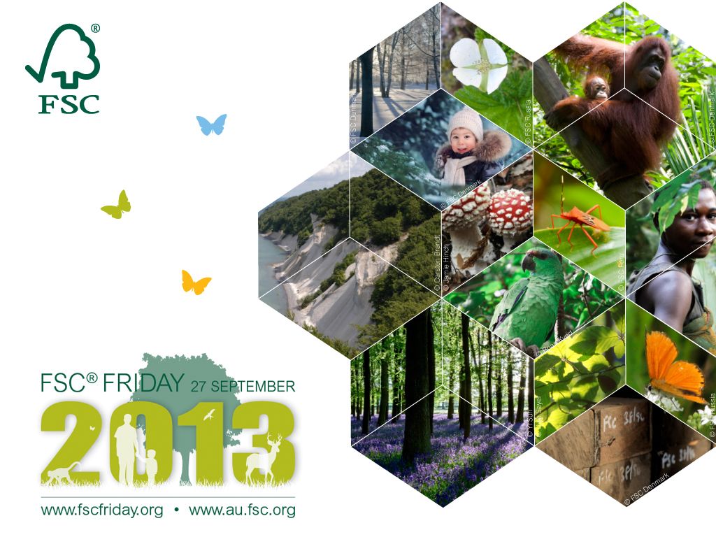 FSC Friday Resources | Forest Stewardship Council
