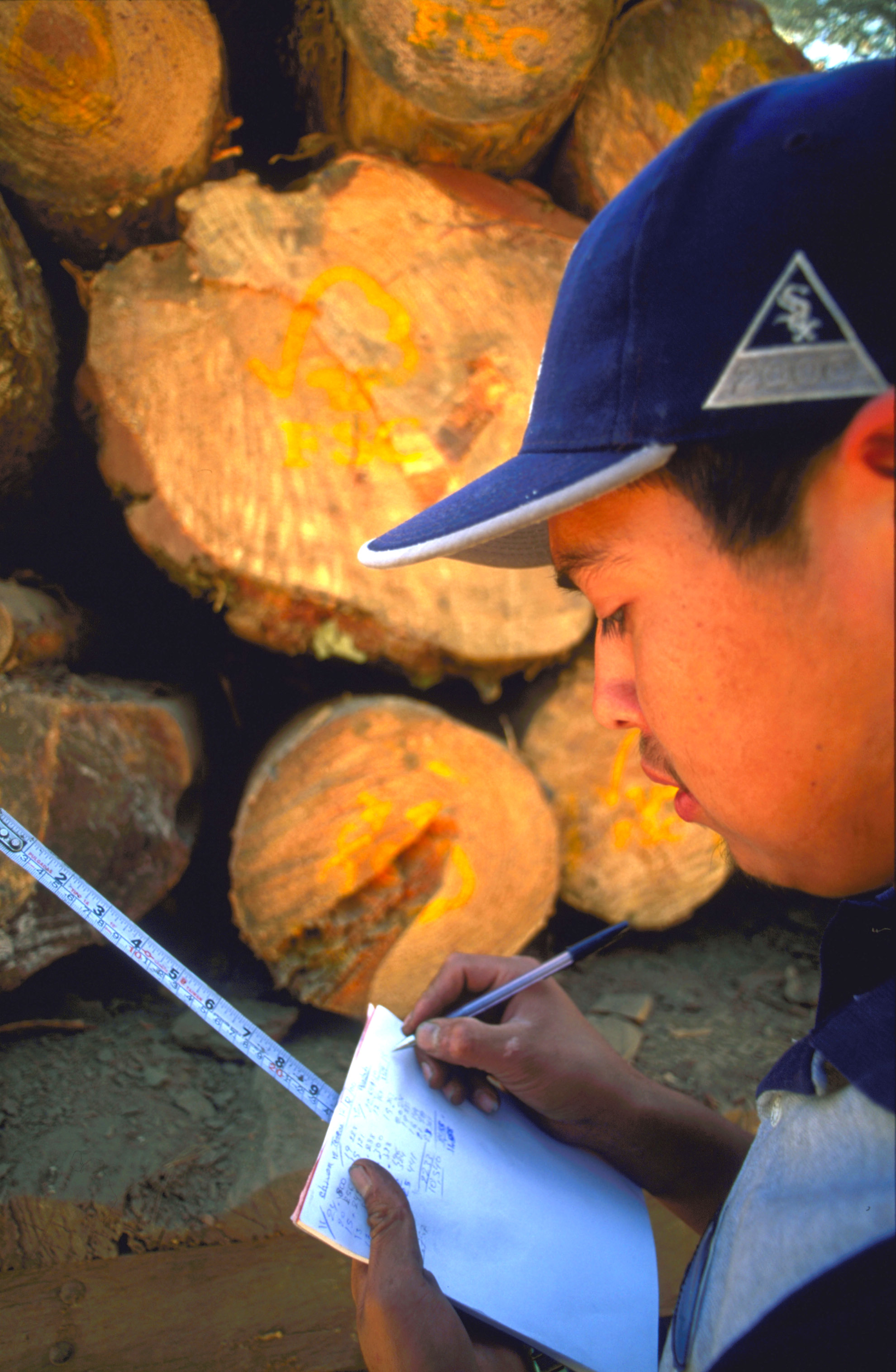 FSC Modular Approach Program (MAP) | Forest Stewardship Council