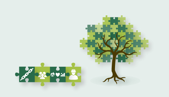 FSC Knowledge Tree Series - Sydney and Melbourne | Forest Stewardship ...