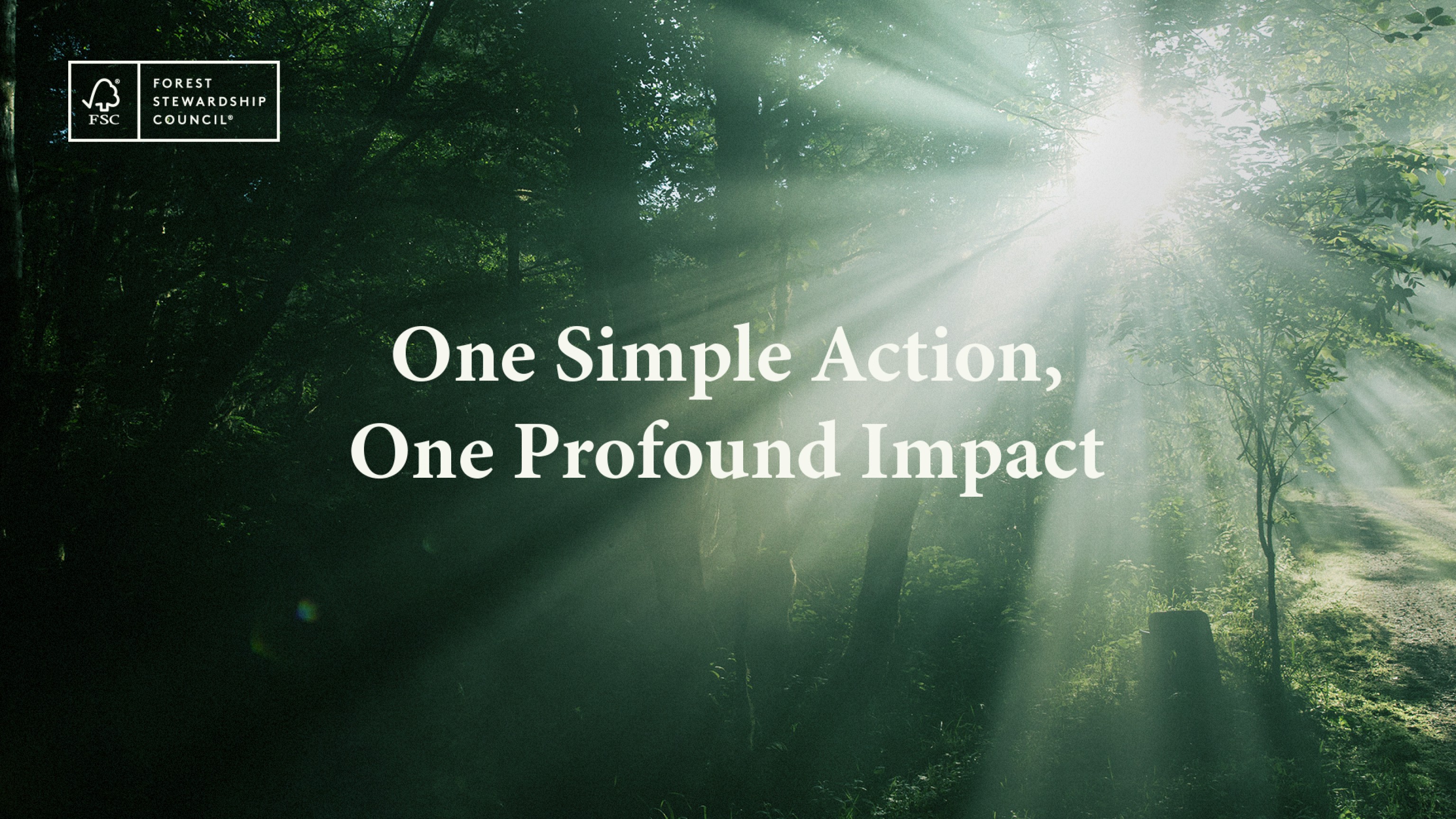 New Video Campaign Promotes FSC | Forest Stewardship Council