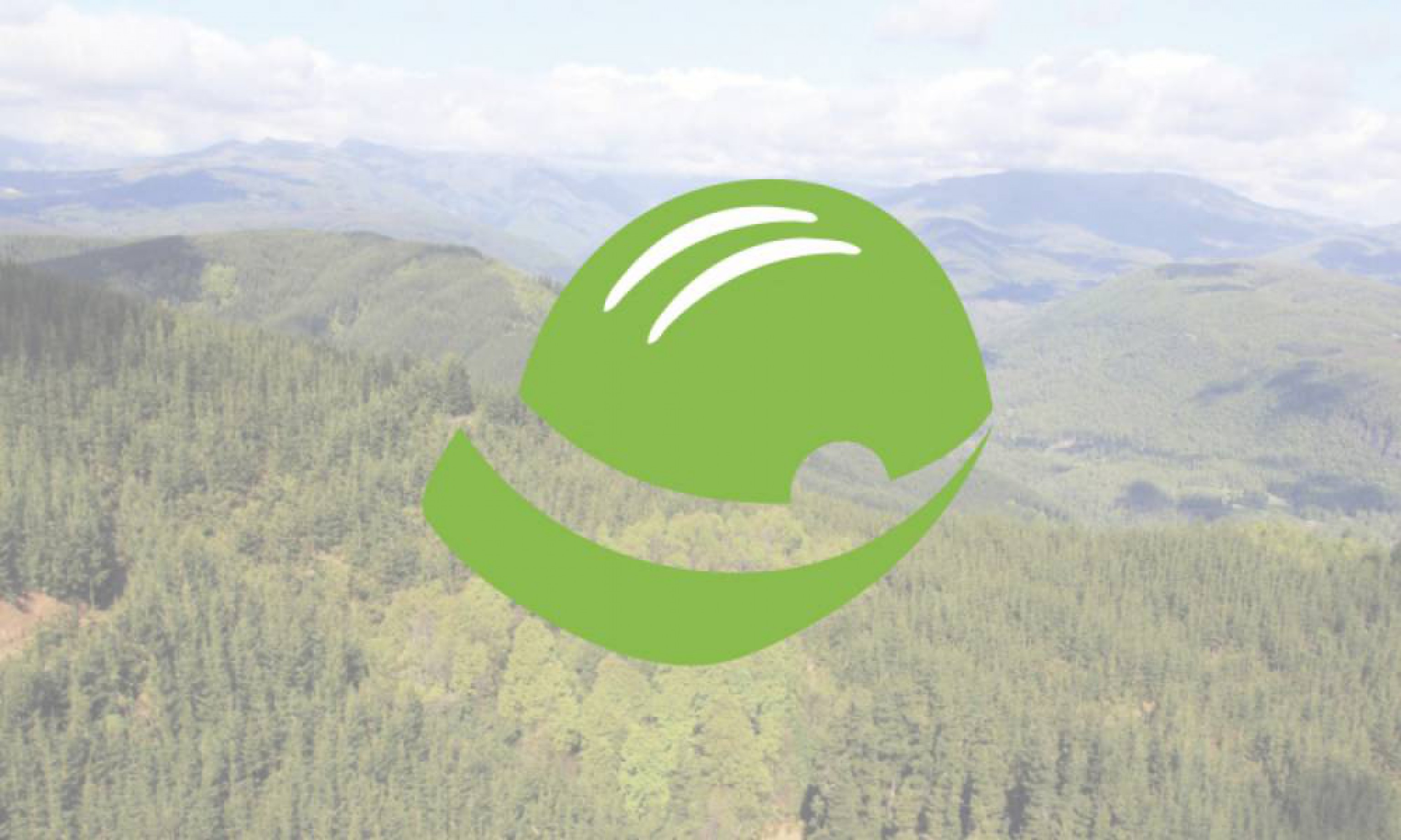 FSC Publishes Revised Chain of Custody Standards | Forest Stewardship ...