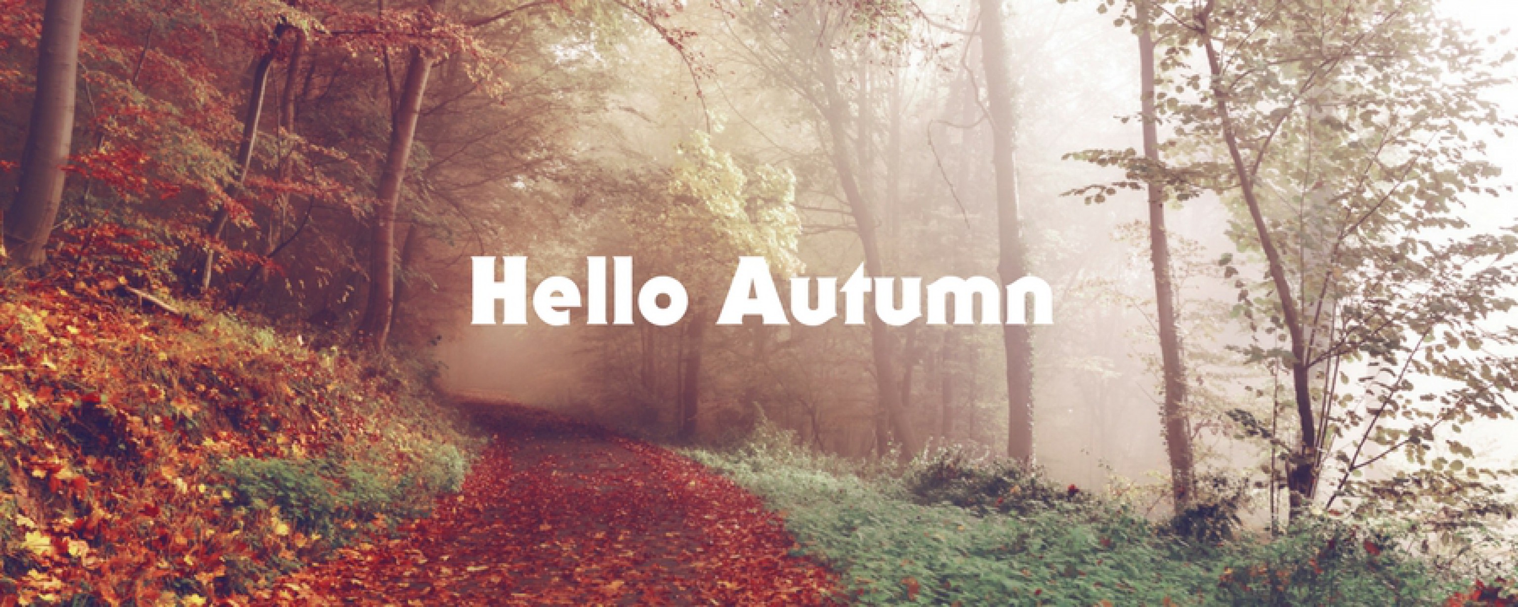 See our Latest Update from FSC Australia & New Zealand | Forest ...