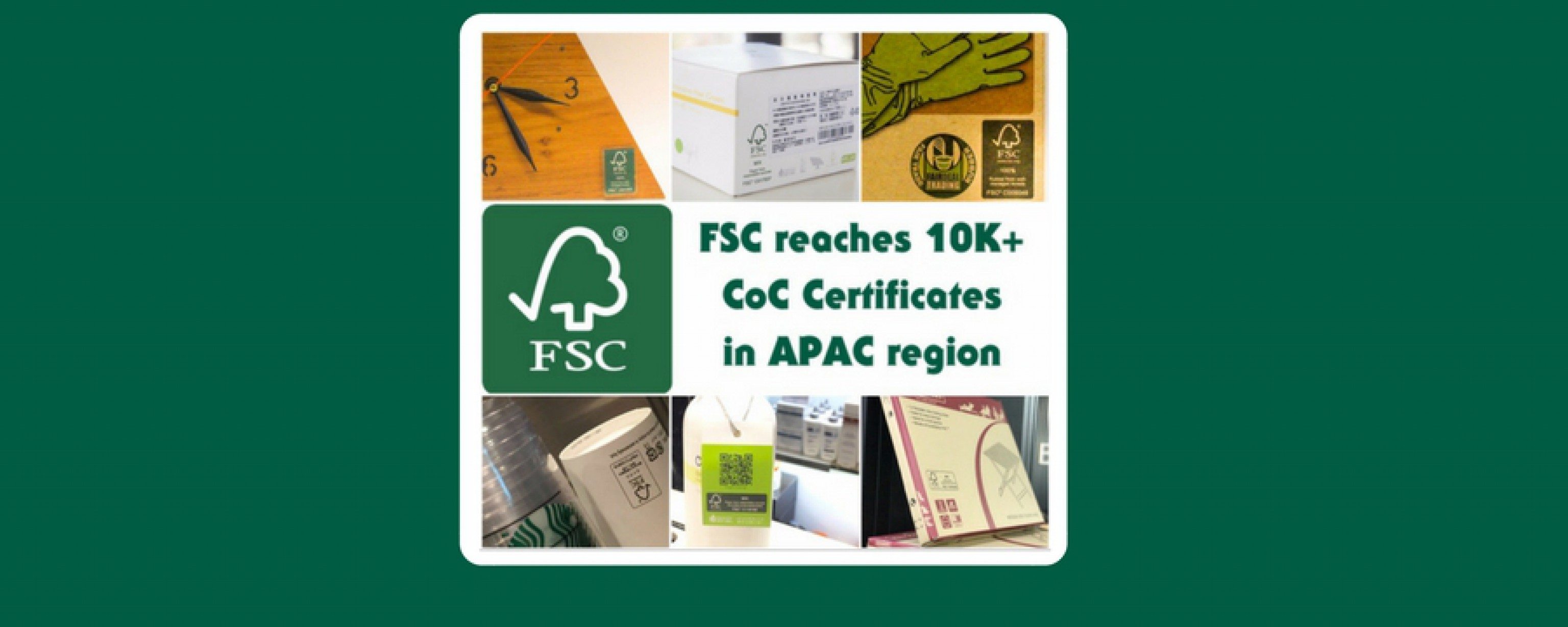 Asia Pacific Region Reaches 10K+ Certificates! | Forest Stewardship Council