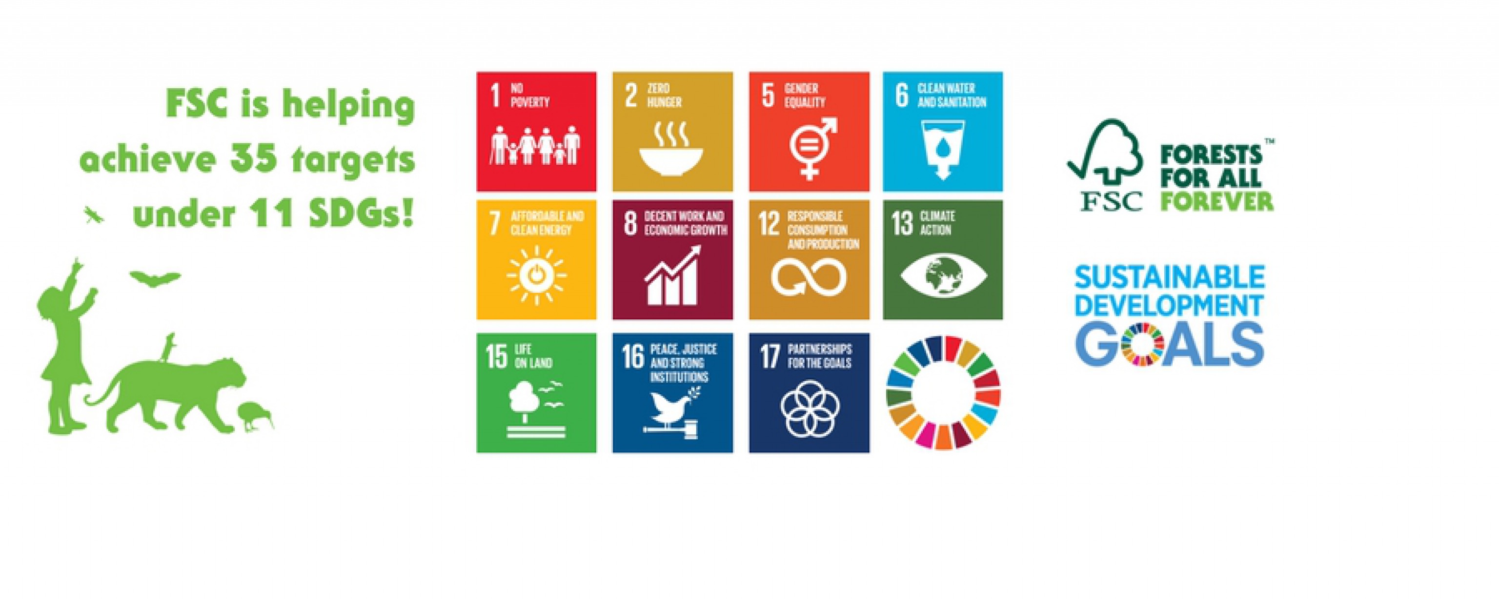 How has FSC been contributing to the UN SDGs? | Forest Stewardship Council