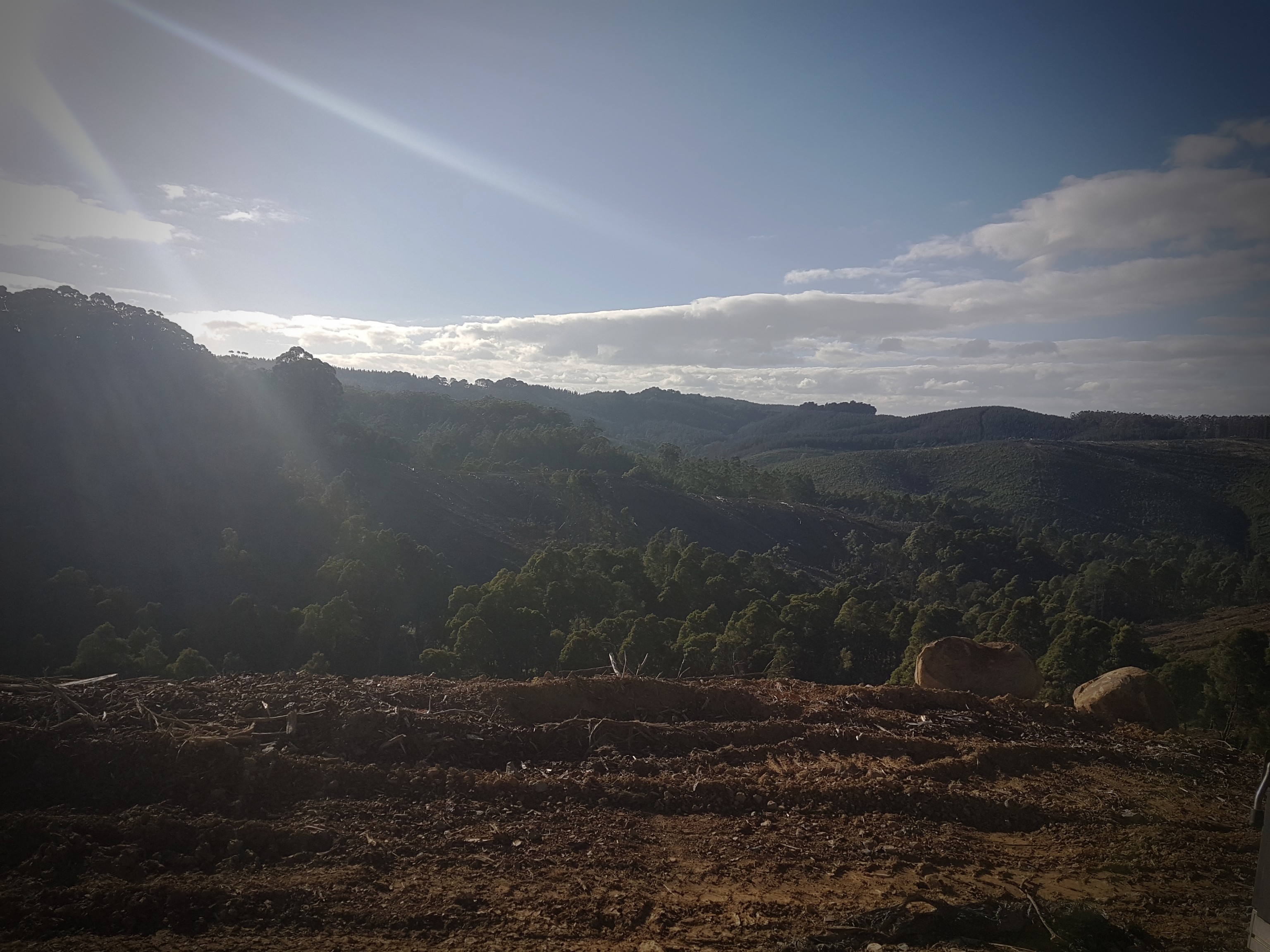 FSC Australia visits one of Australia’s first FSC certified forest ...
