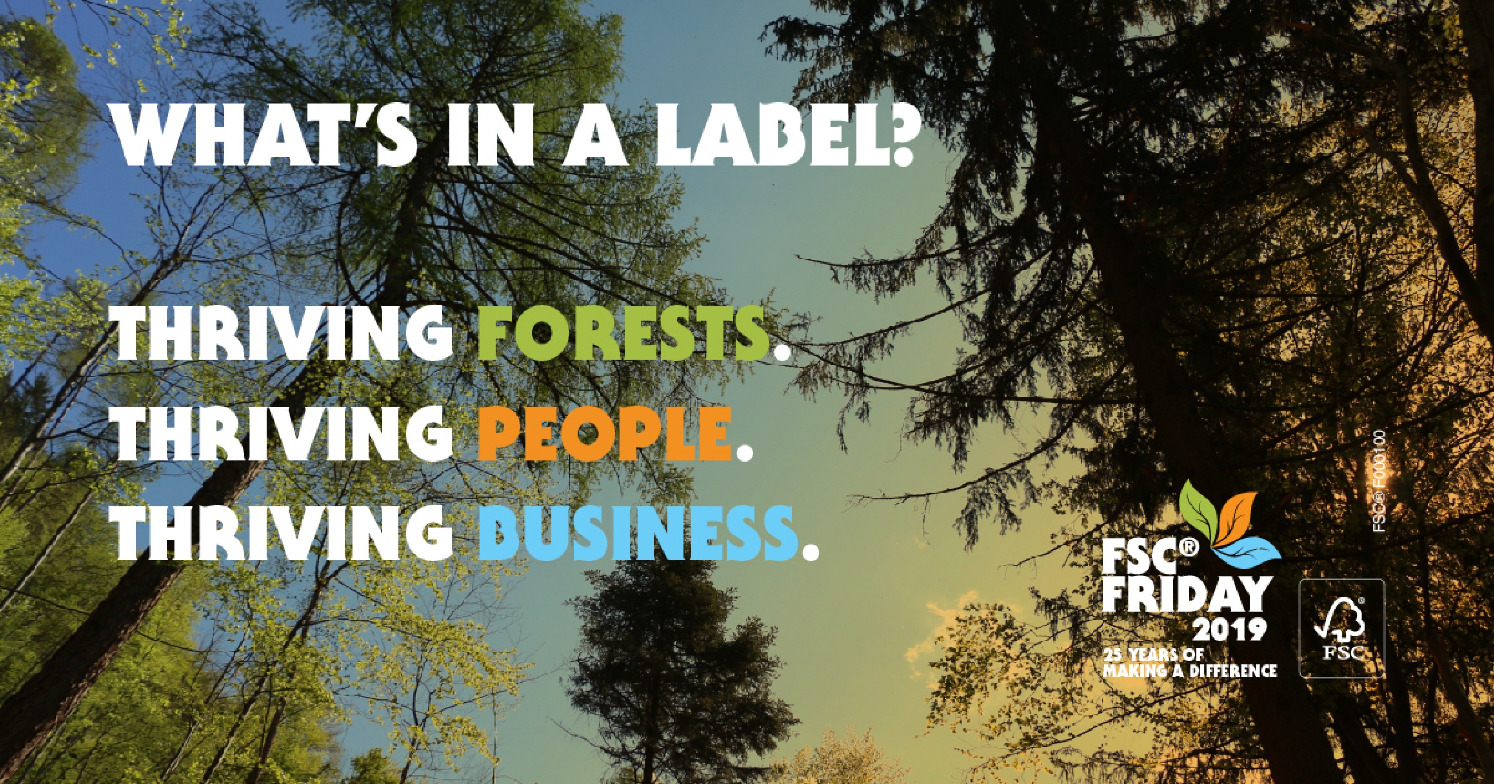 FSC Friday 2019 | Forest Stewardship Council