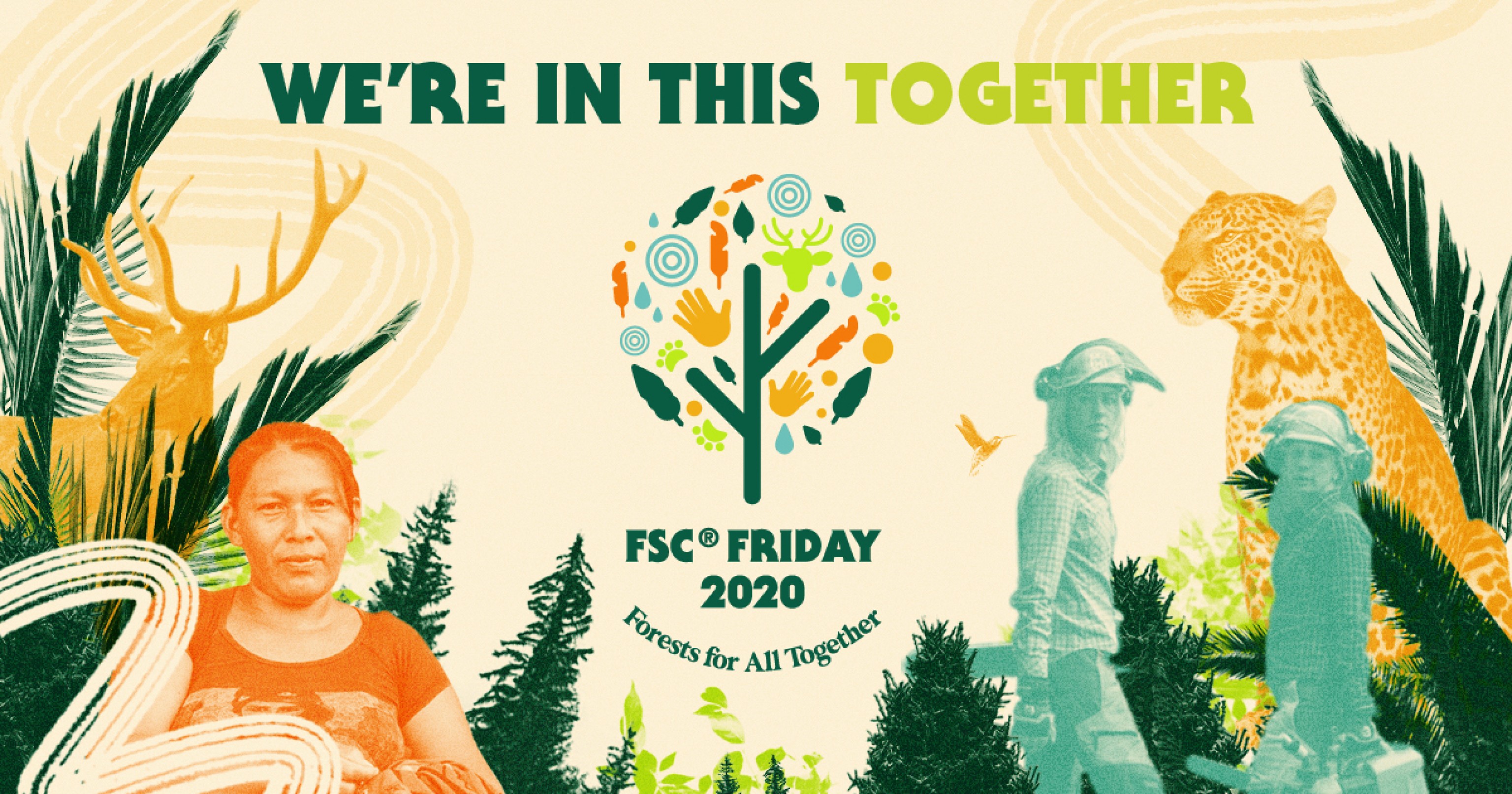 Celebrating FSC Friday 2020 | Forest Stewardship Council