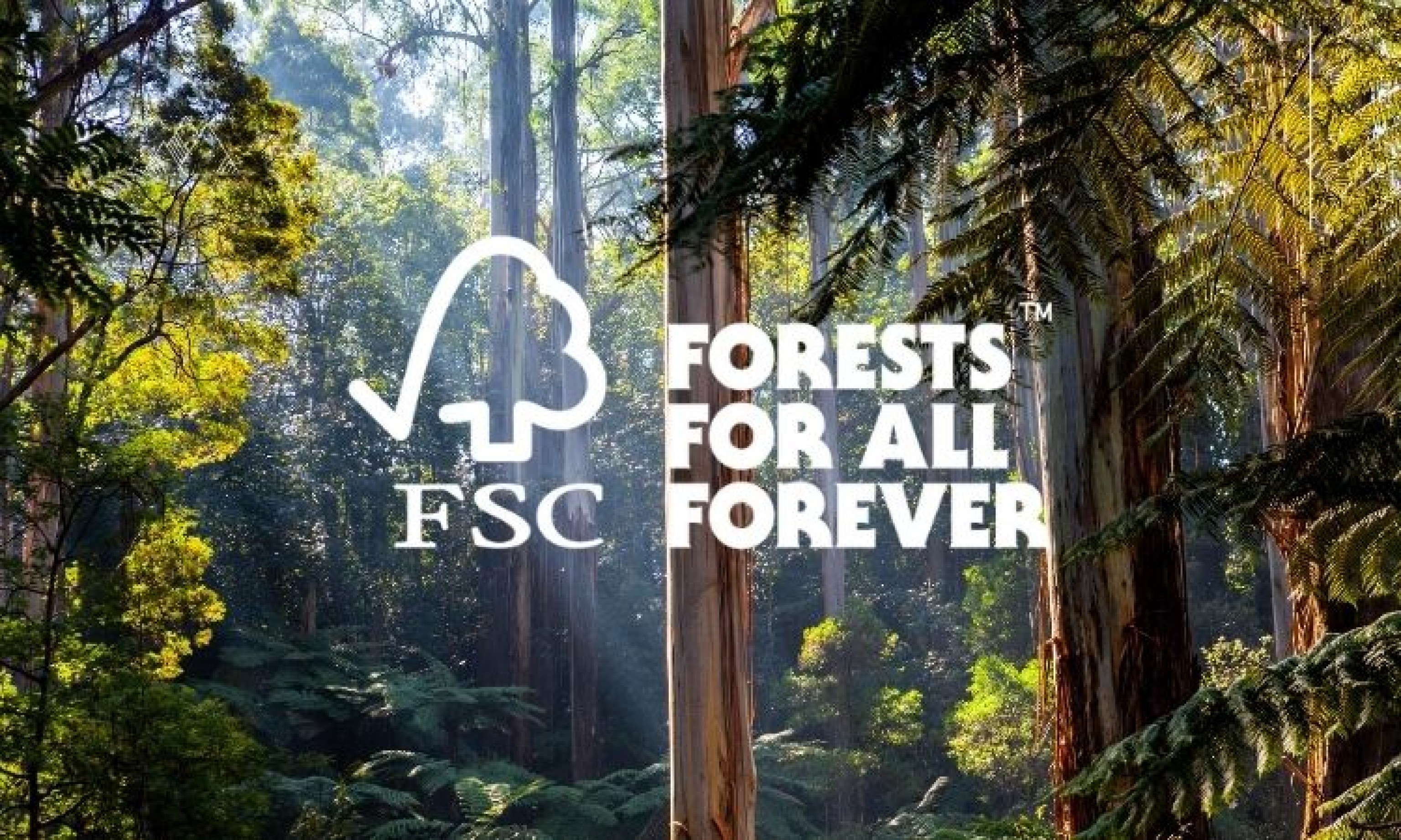 Happy 3rd Birthday to FSC Australia’s Forest Management Standard ...