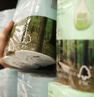 Trademark Use for Promotional Licence Holders | Forest Stewardship Council