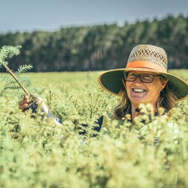 Women Shaping the Future of Sustainable Forestry | Forest Stewardship ...